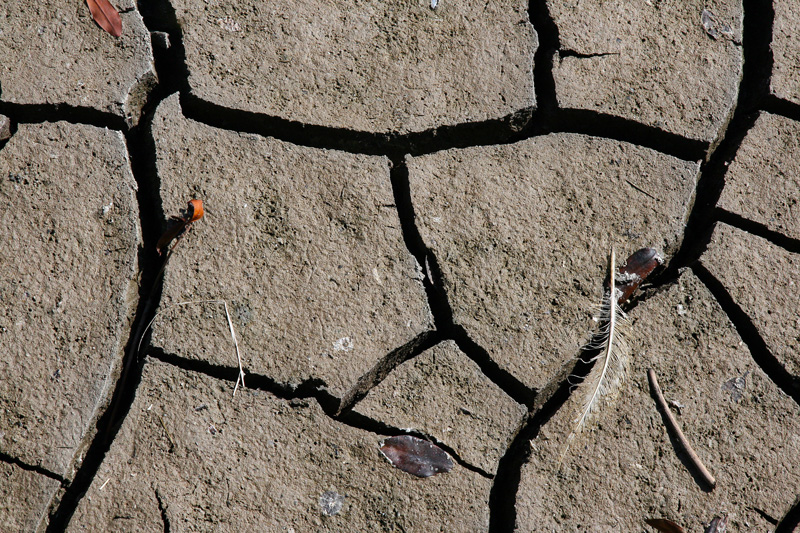 Throwback Thursday: Dry, dry, dry – Enjoy the Oslo Riverfront ...