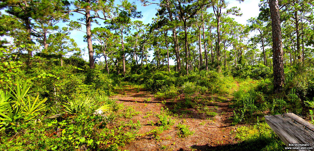 Diverging Trails – Enjoy the Oslo Riverfront Conservation Area