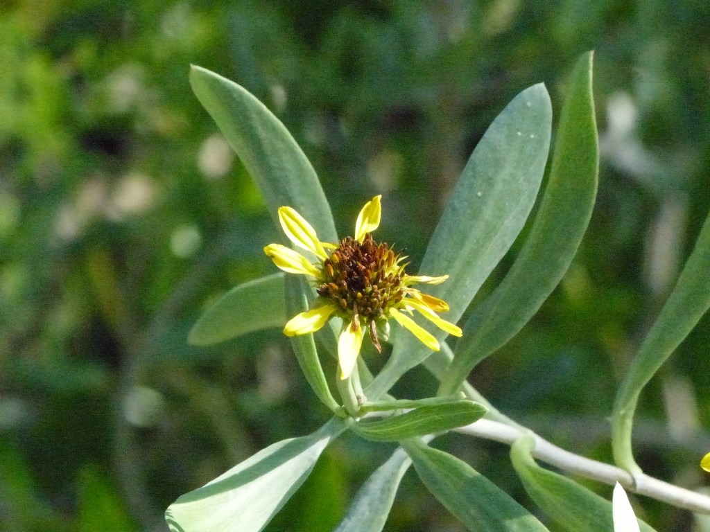 Oyster Bar Marsh – Enjoy the Oslo Riverfront Conservation Area